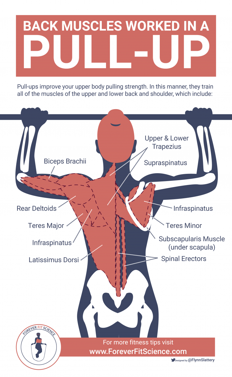 Perfecting Your CrossFit Pull-Up » ForeverFitScience